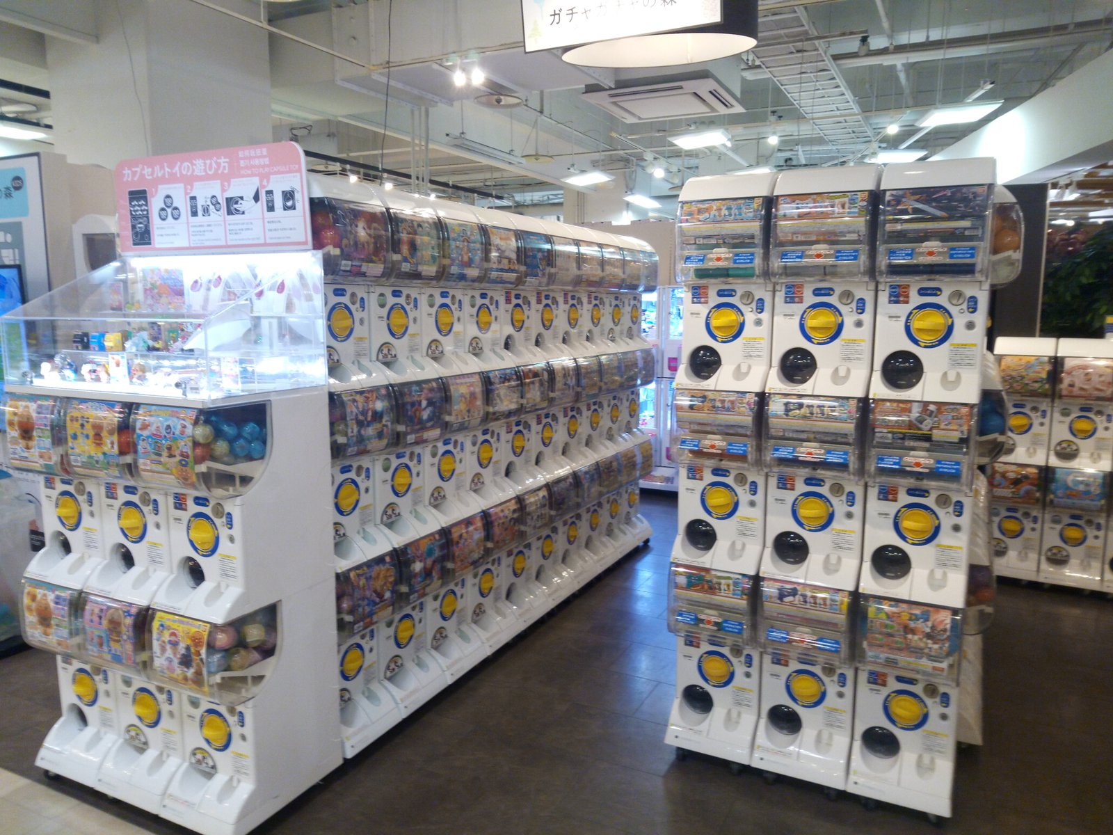 Gorilla Faced Animals And Cats In Tissue Boxes, 2 Ridiculous And Mostly ...