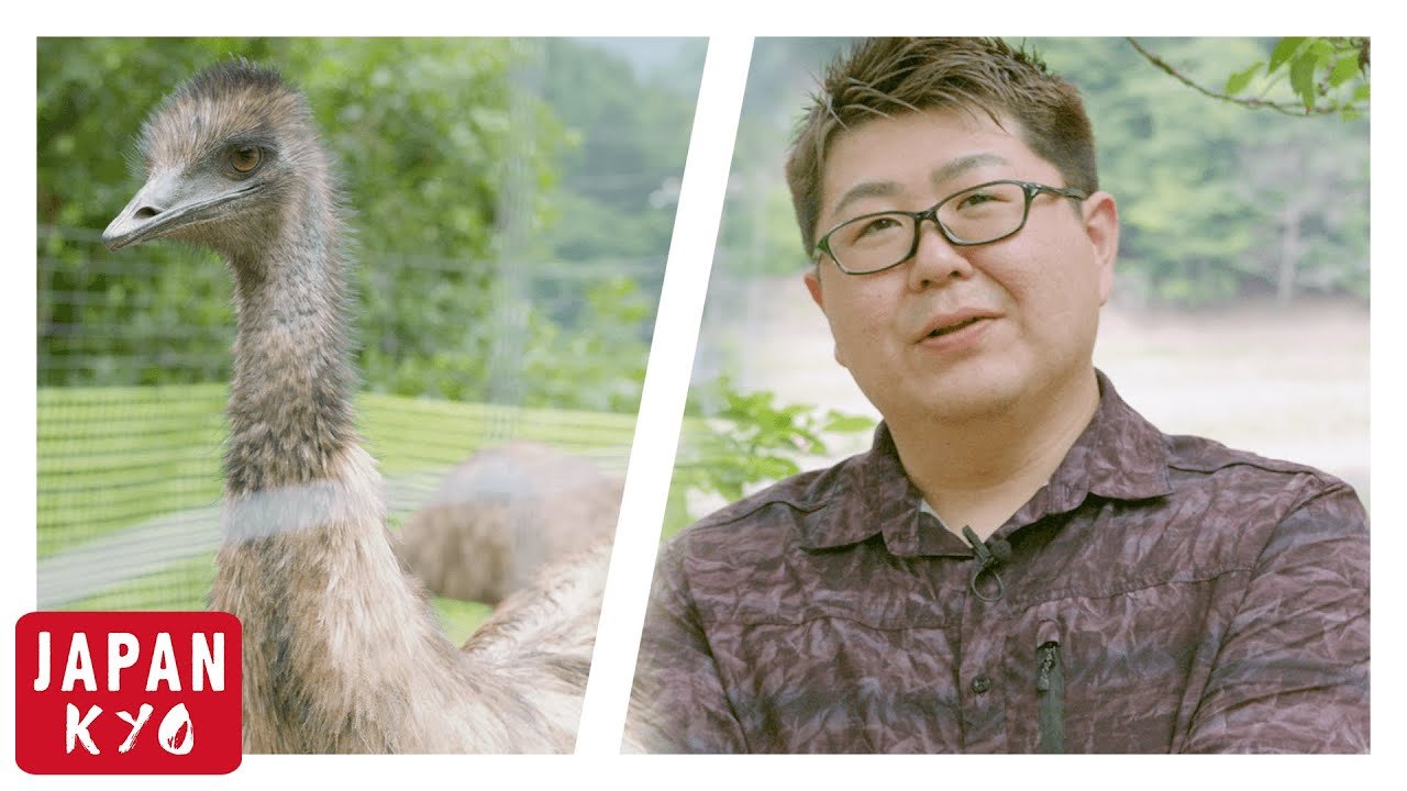 [VIDEO] Emus in Tokyo: Inside the Life of a Japanese Emu Rancher ...